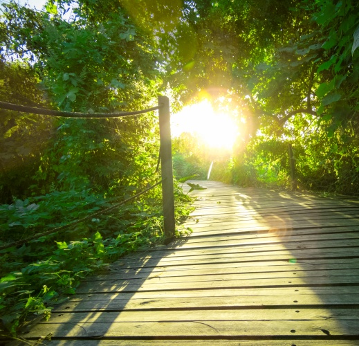 Enseñanzas del Maestro ALFREDO D´ANGELO | Fundación para la Difusión ...